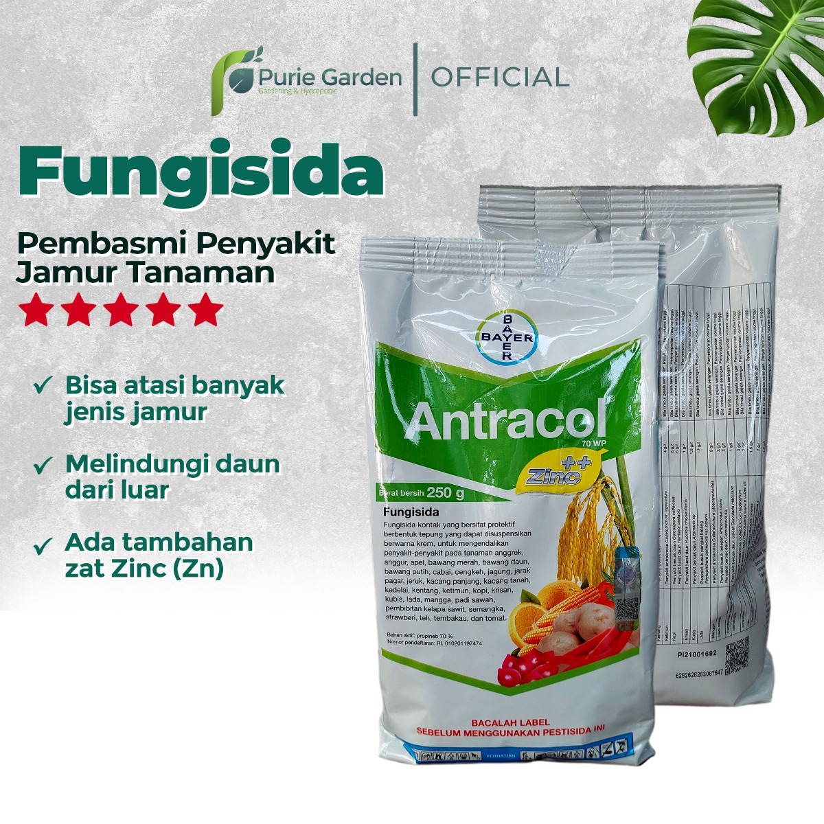 Fungisida Antracol 70 WP ZINC Untuk Penyakit Jamur Tanaman 250 Gram