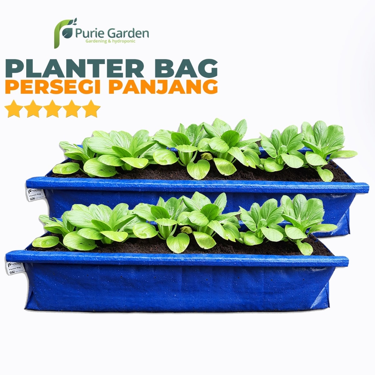 Planter Bag Persegi Hedge Small Pot Tanaman