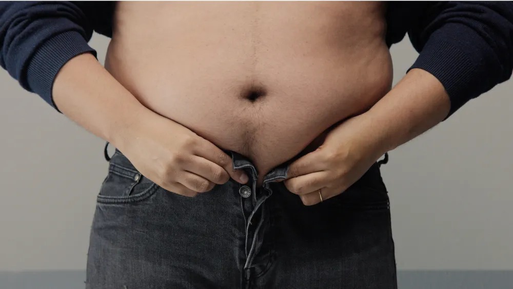 Bahaya Lemak Visceral: Rusak Organ & Picu Diabetes Tipe 2, BurnX Matcha ...