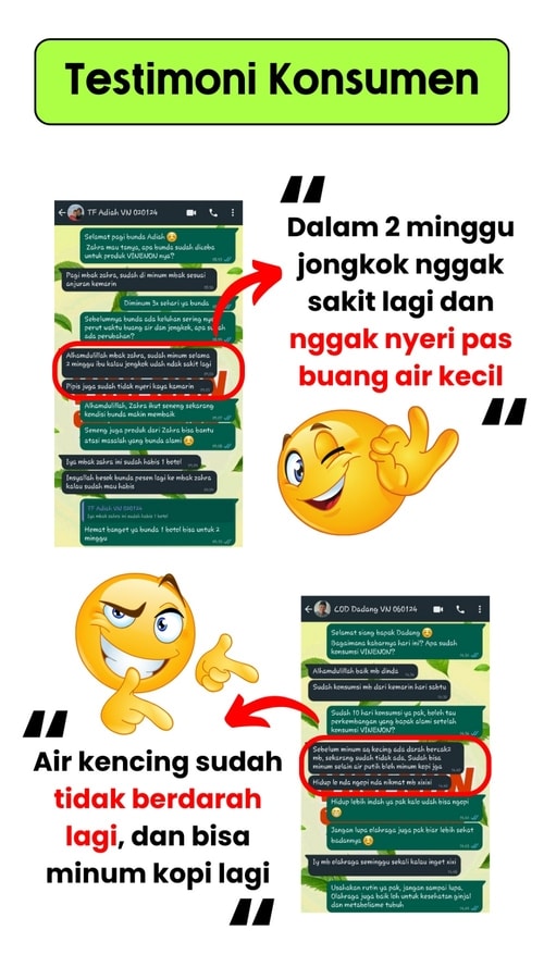 Vinenon Cuka Mengkudu Fermentasi