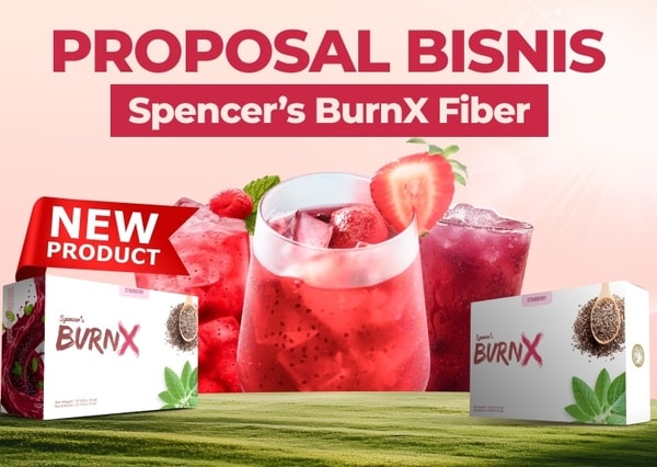Proposal Distributor BurnX Fiber - 2025