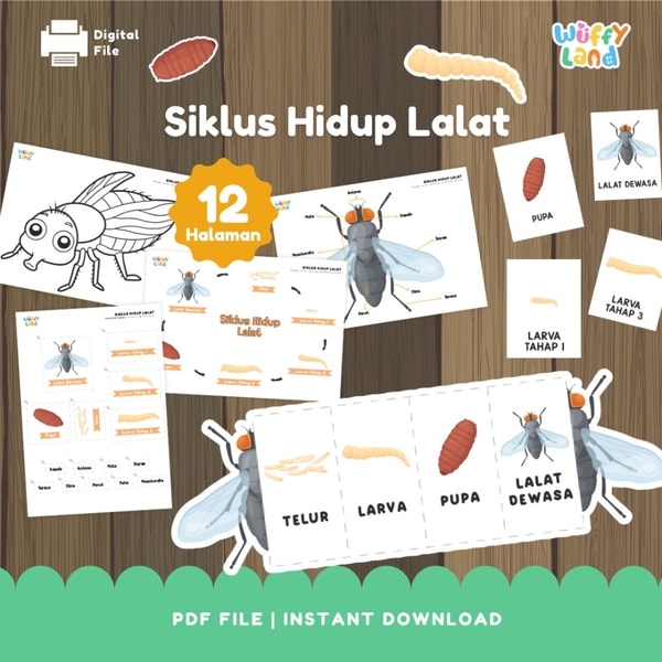 Wuffyland Worksheet Edukasi Anak Indonesia Murah Printable Siklus Hidup ...