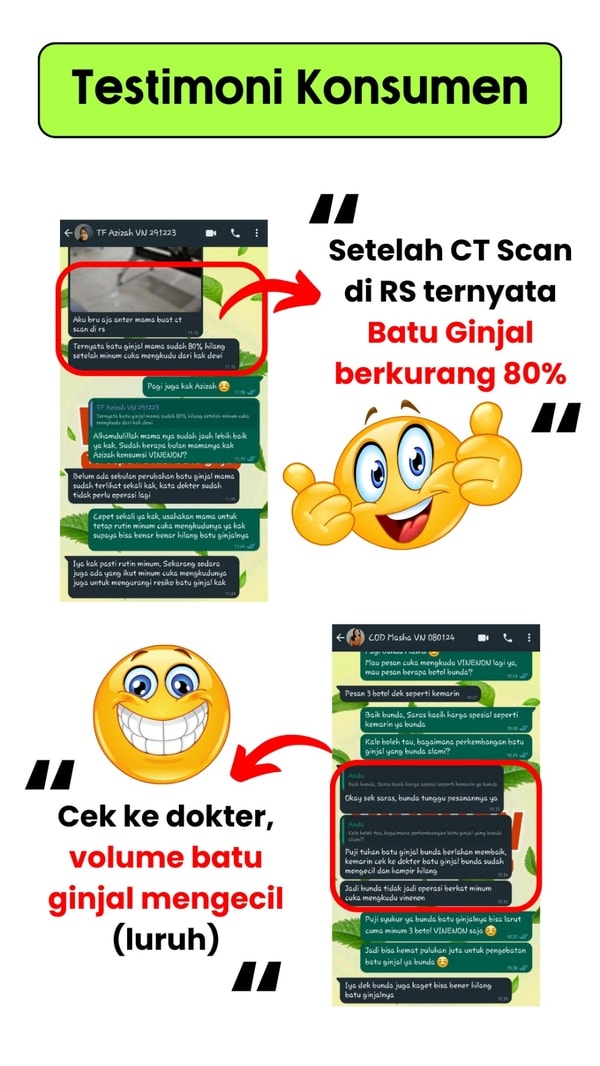 Vinenon Cuka Mengkudu Fermentasi