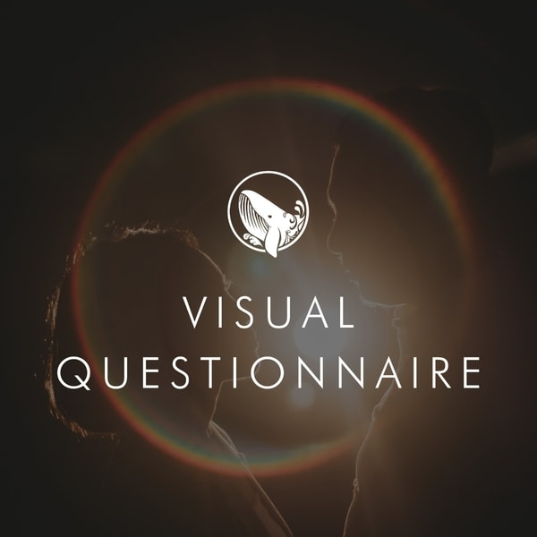 Visual Questionnaire