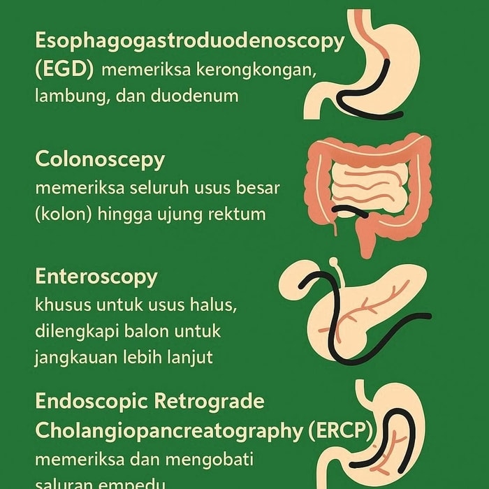Pemeriksaan Endoskopi: Panduan Lengkap untuk Pasien