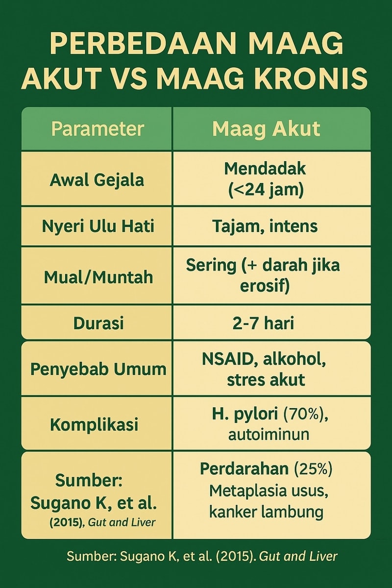 Gejala & Diagnosis Maag: Mengenal Ciri Akut vs Kronis dan Pemeriksaan ...