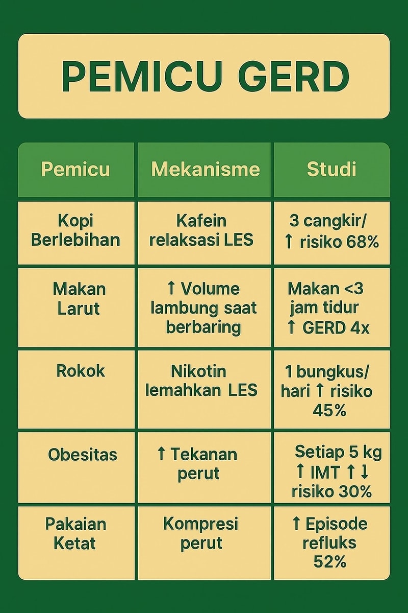 Penyebab GERD: Mengapa Asam Lambung Naik dan Faktor Risikonya